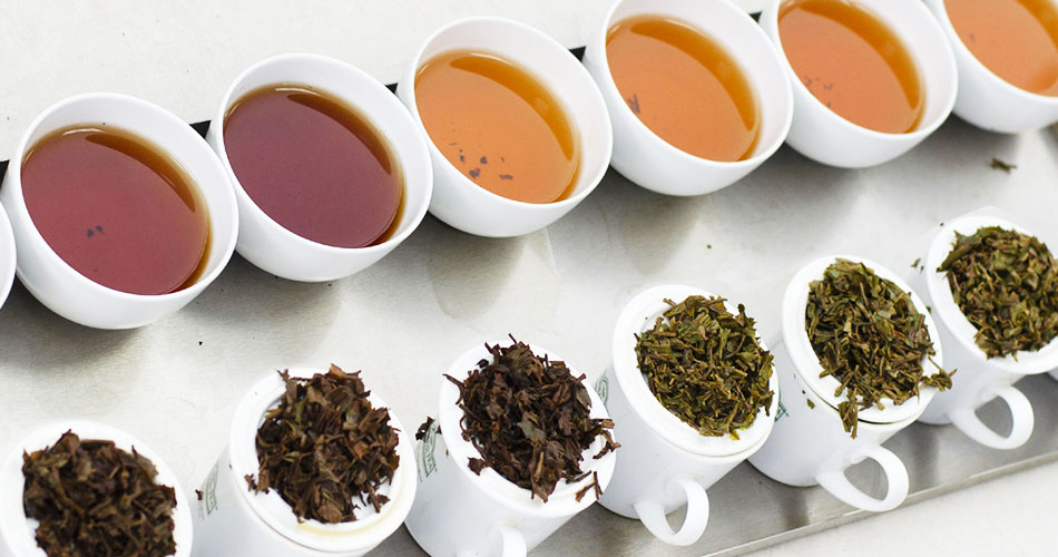 Darjeeling’s First & Second Flushes – Ahmad Tea